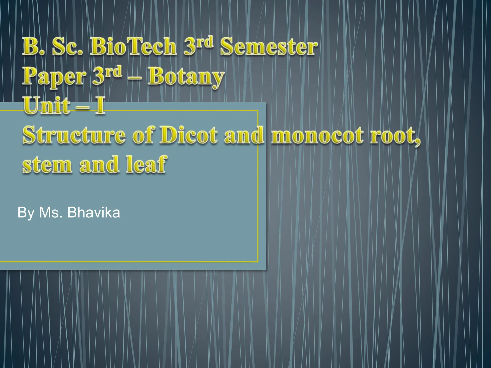 Unit1 part 1 (1).pptx dicot anatomy in which it will show the anatomical structures of stem or ...