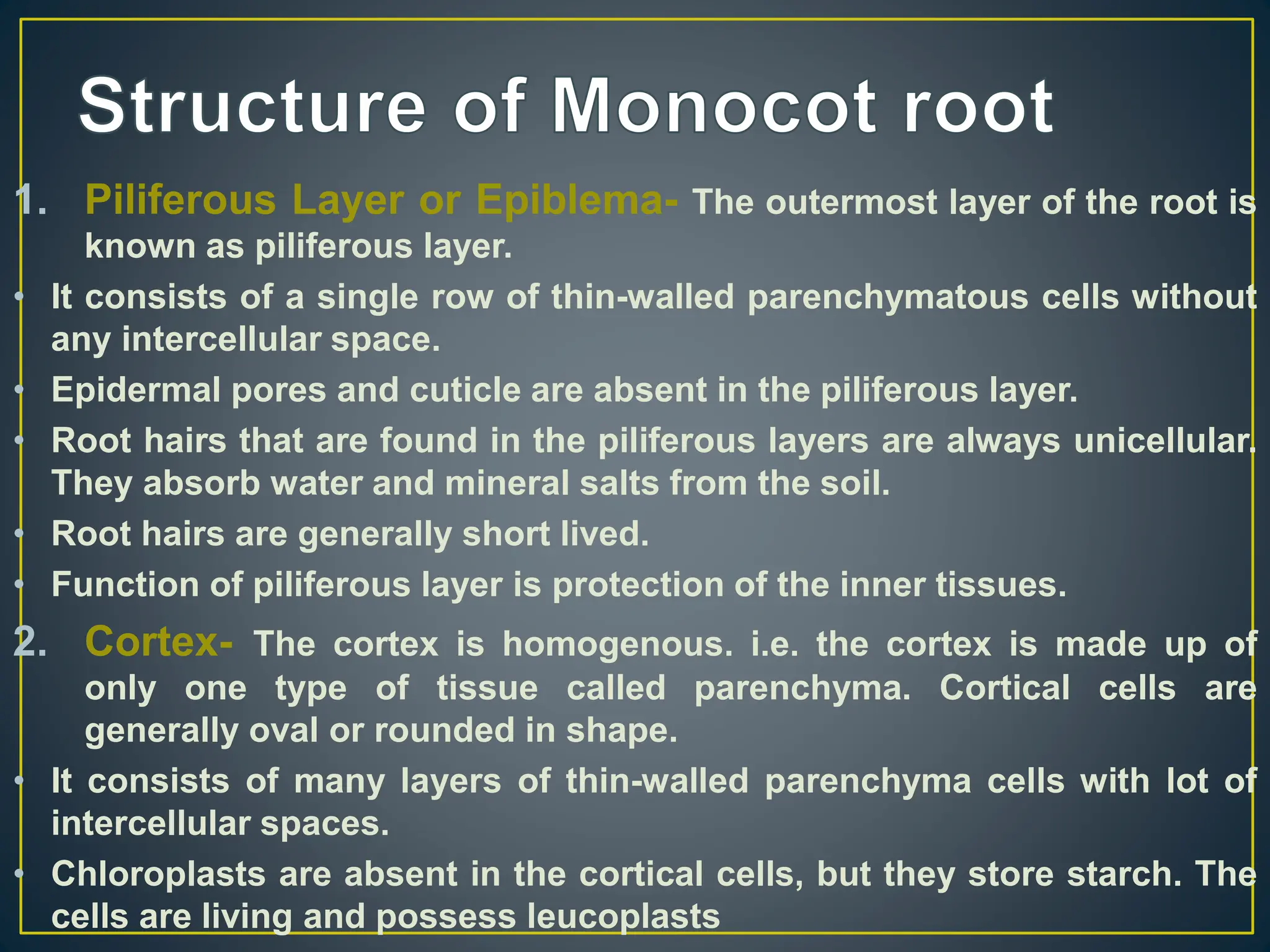 Unit1 part 1 (1).pptx dicot anatomy in which it will show the anatomical structures of stem or ...