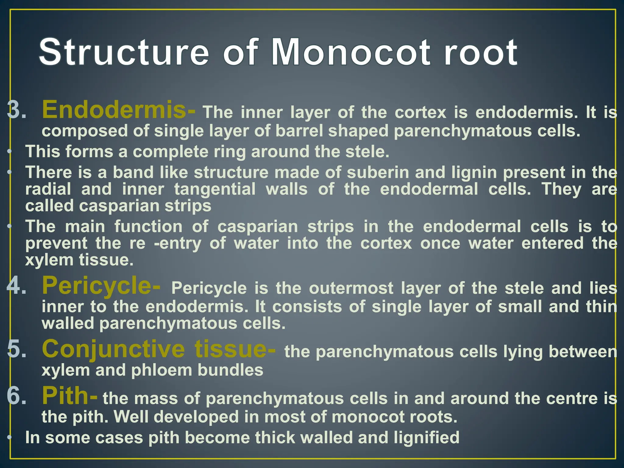 Unit1 part 1 (1).pptx dicot anatomy in which it will show the anatomical structures of stem or ...