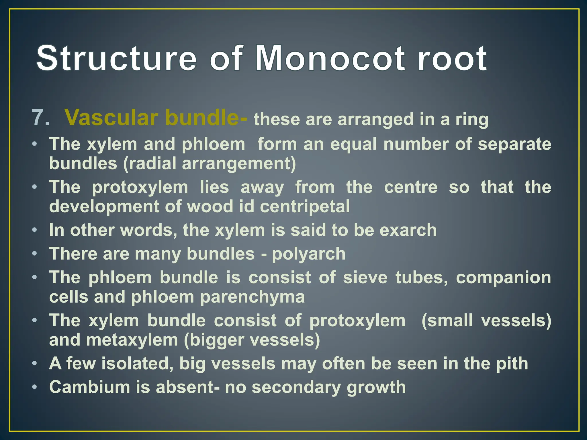 Unit1 part 1 (1).pptx dicot anatomy in which it will show the anatomical structures of stem or ...