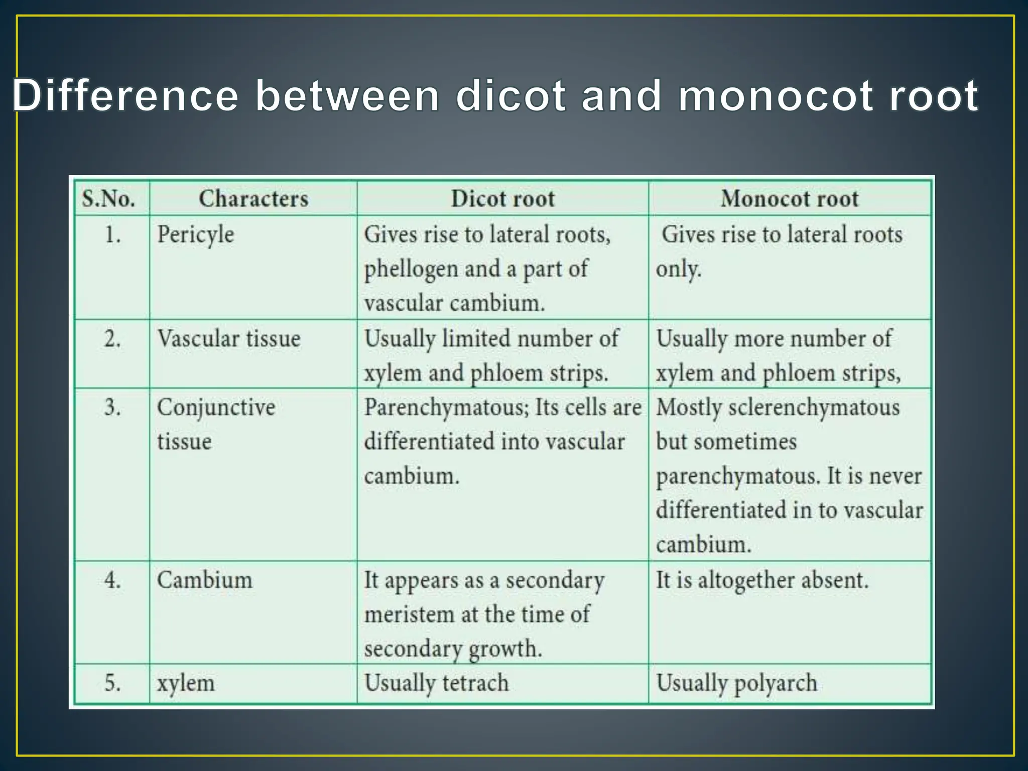 Unit1 part 1 (1).pptx dicot anatomy in which it will show the anatomical structures of stem or ...
