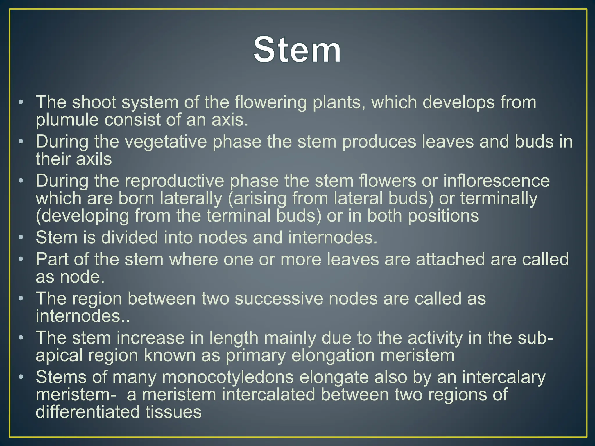 Unit1 part 1 (1).pptx dicot anatomy in which it will show the anatomical structures of stem or ...