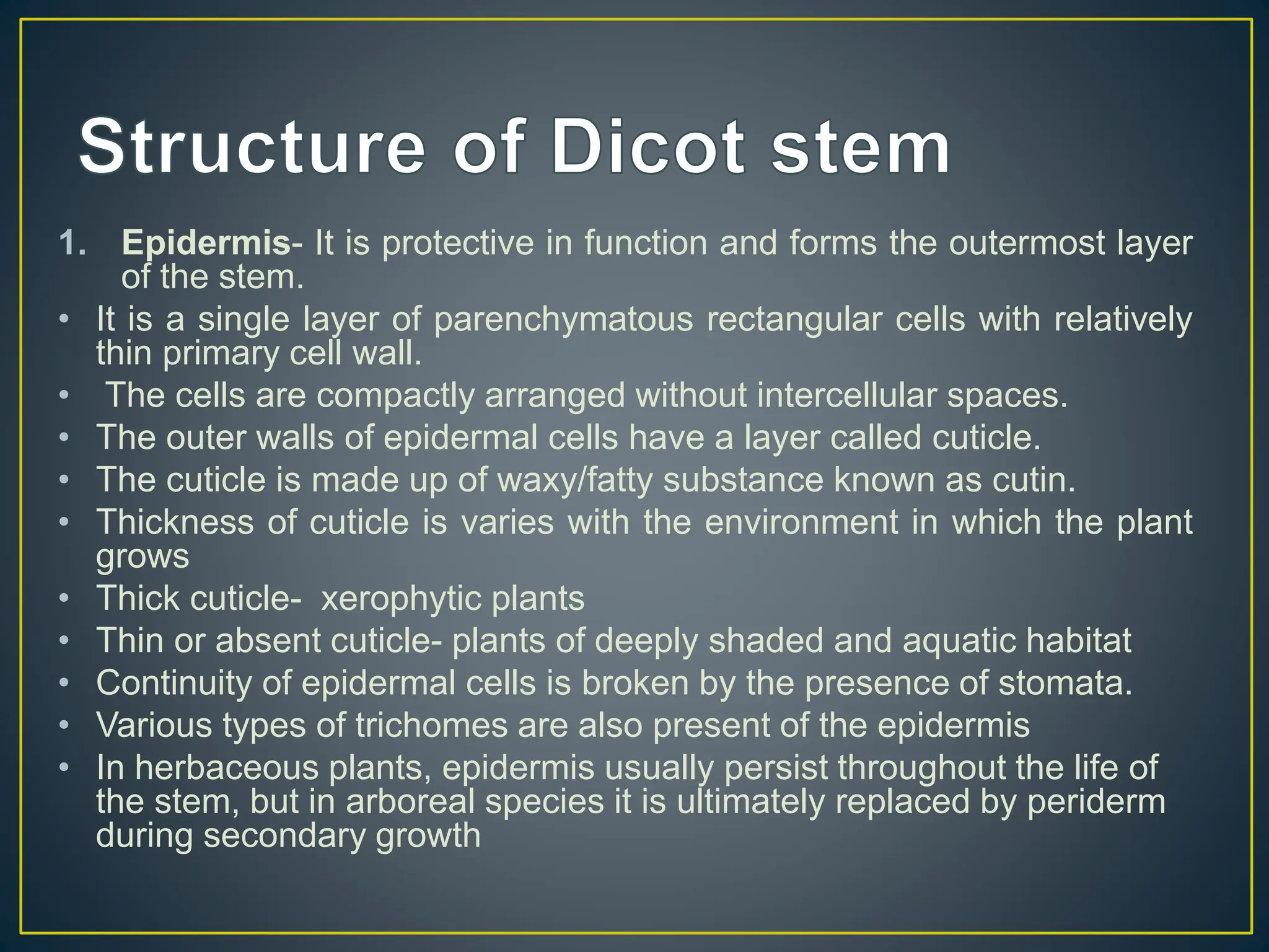 Unit1 part 1 (1).pptx dicot anatomy in which it will show the anatomical structures of stem or ...