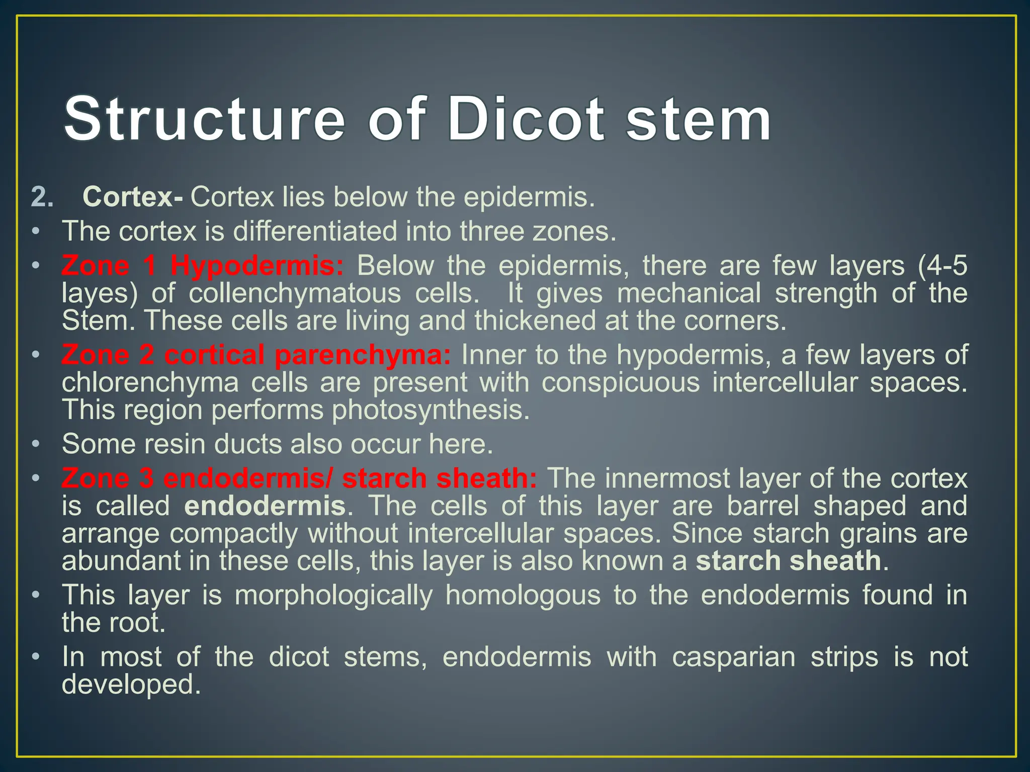 Unit1 part 1 (1).pptx dicot anatomy in which it will show the anatomical structures of stem or ...