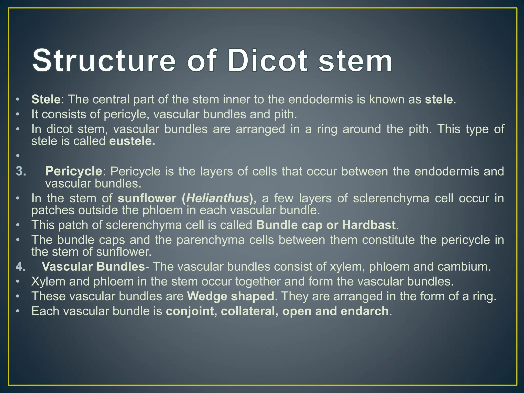 Unit1 part 1 (1).pptx dicot anatomy in which it will show the anatomical structures of stem or ...