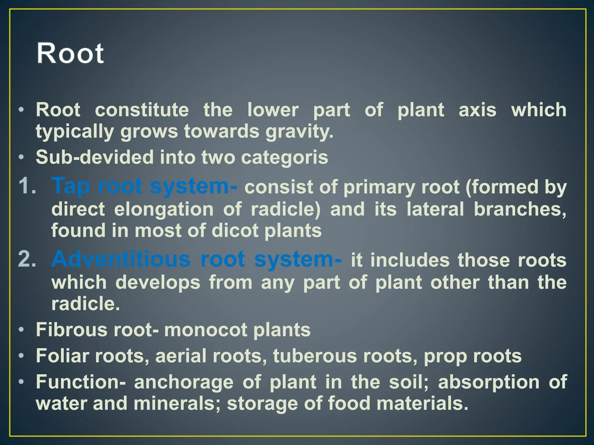 Unit1 part 1 (1).pptx dicot anatomy in which it will show the anatomical structures of stem or ...