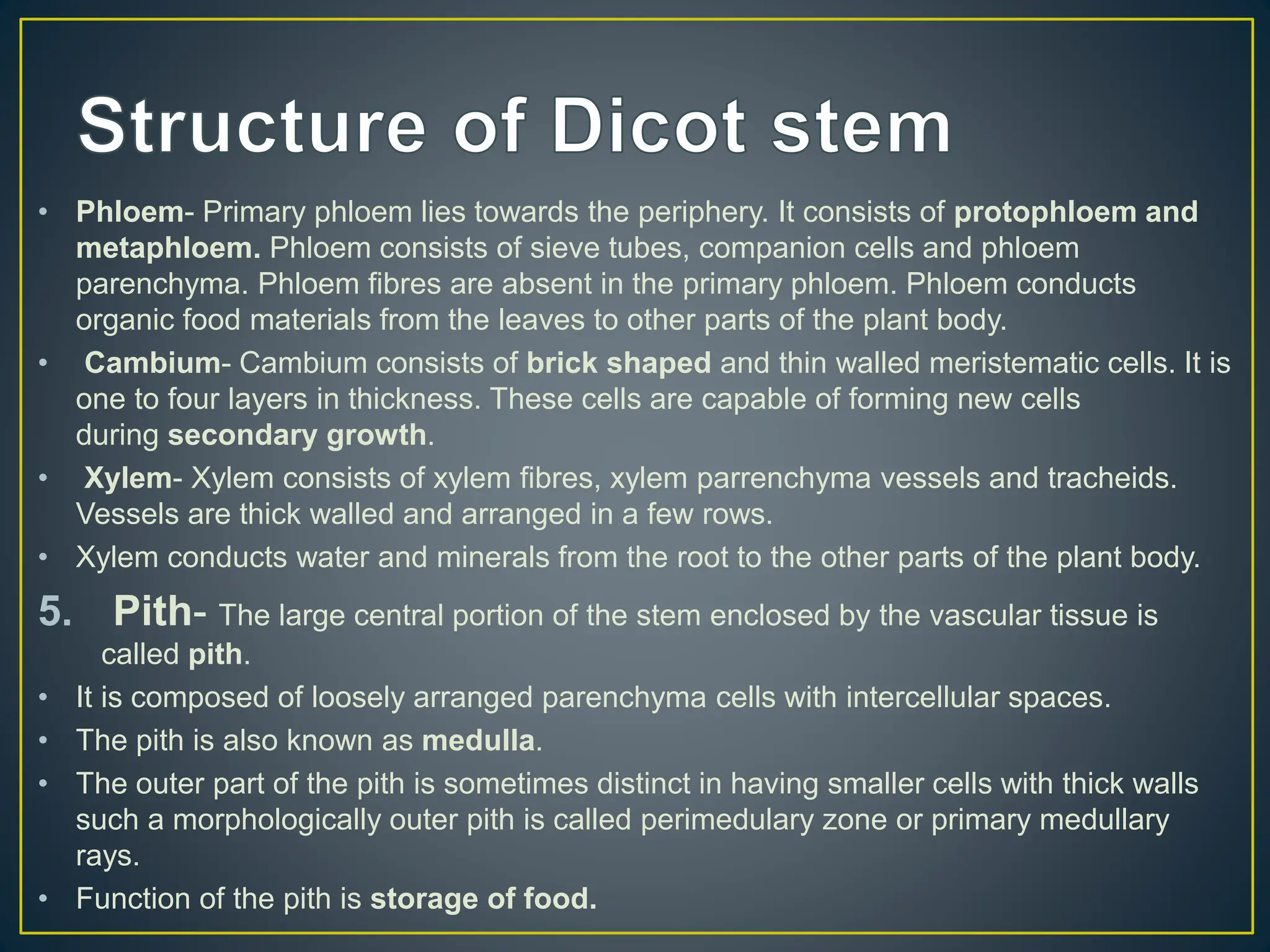 Unit1 part 1 (1).pptx dicot anatomy in which it will show the anatomical structures of stem or ...