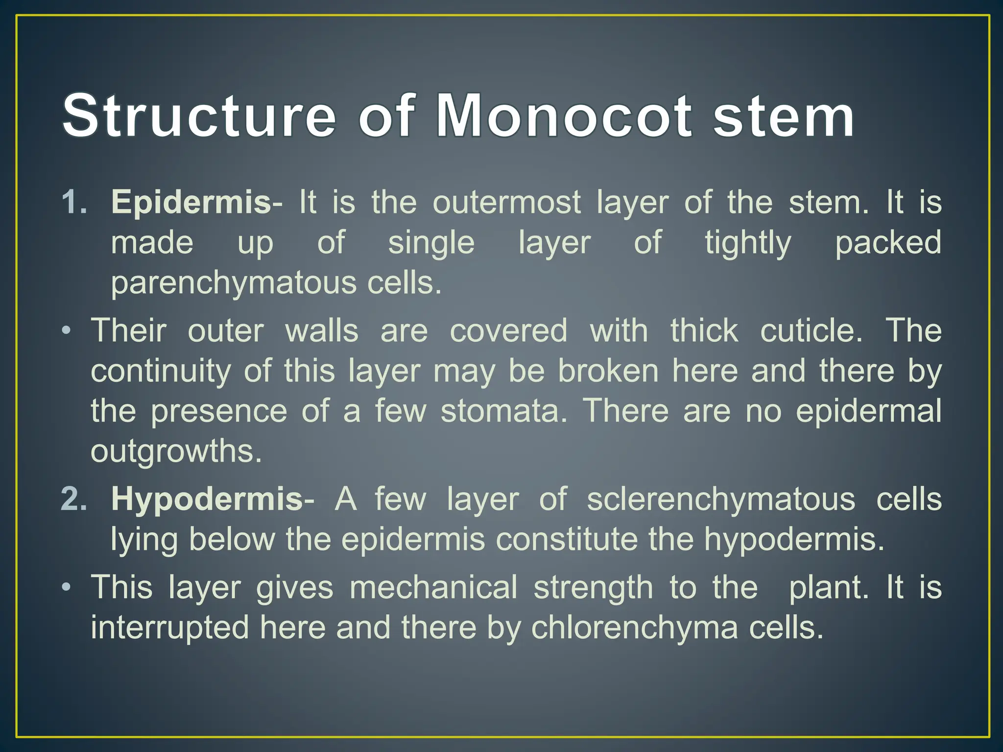 Unit1 part 1 (1).pptx dicot anatomy in which it will show the anatomical structures of stem or ...