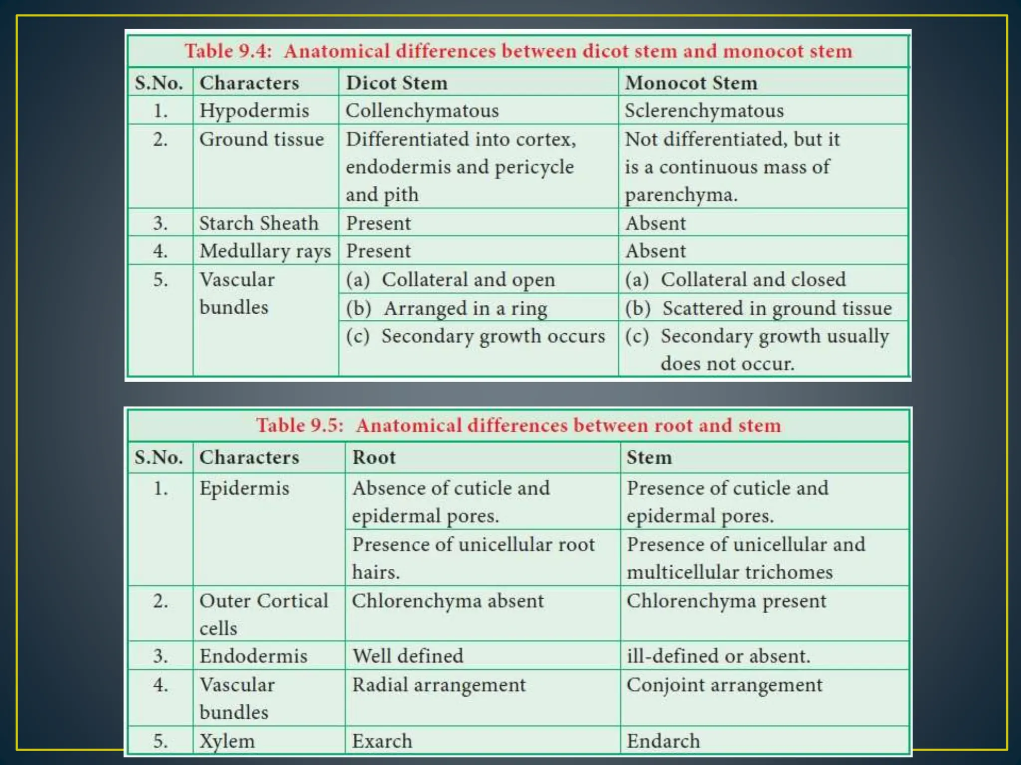 Unit1 part 1 (1).pptx dicot anatomy in which it will show the anatomical structures of stem or ...