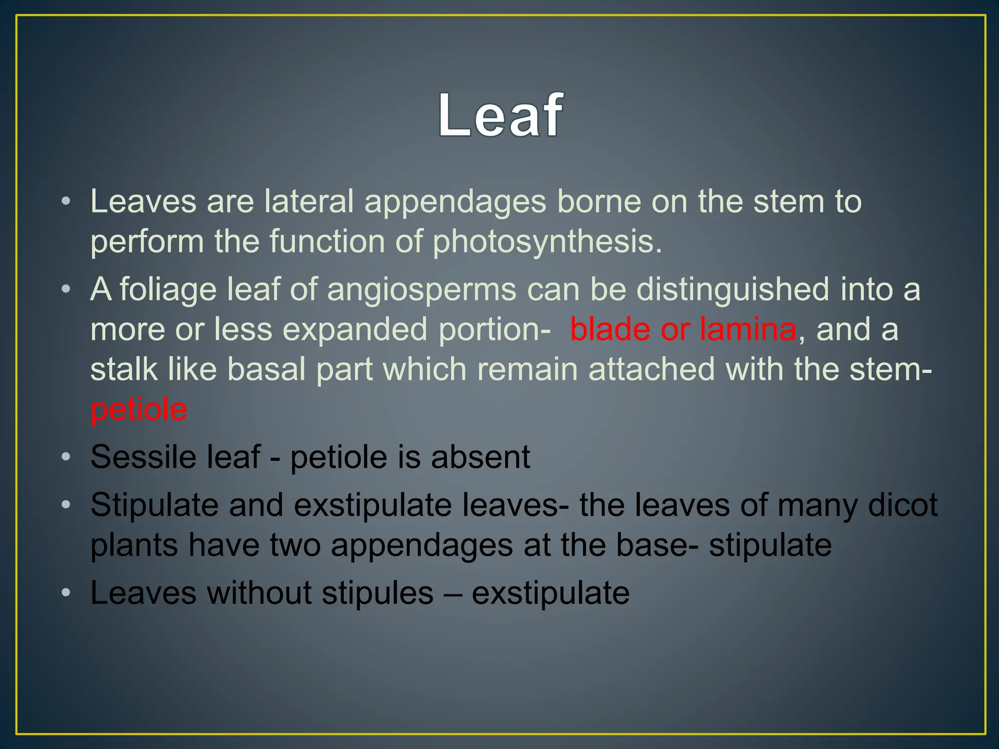 Unit1 part 1 (1).pptx dicot anatomy in which it will show the ...