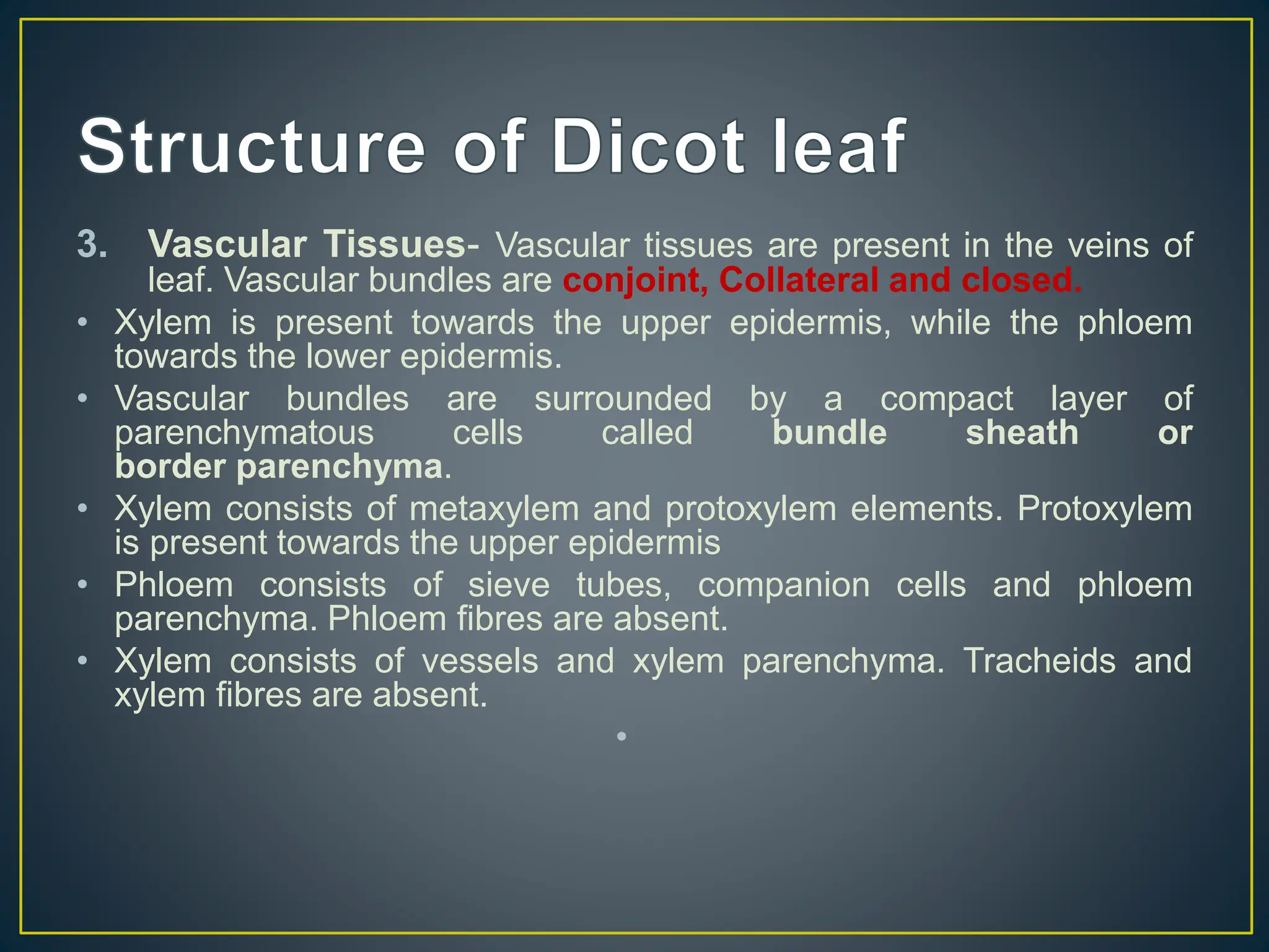 Unit1 part 1 (1).pptx dicot anatomy in which it will show the anatomical structures of stem or ...