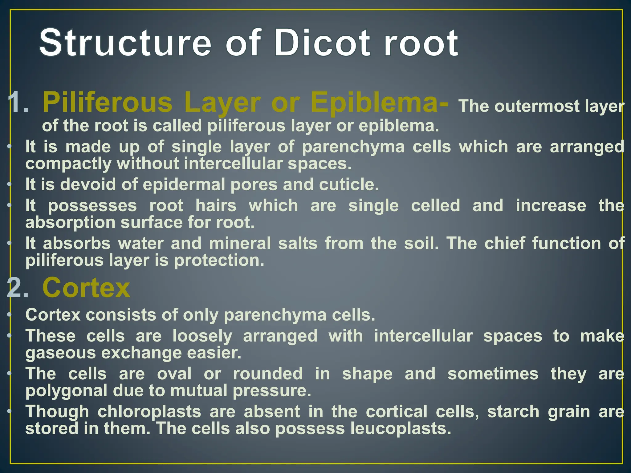 Unit1 part 1 (1).pptx dicot anatomy in which it will show the anatomical structures of stem or ...
