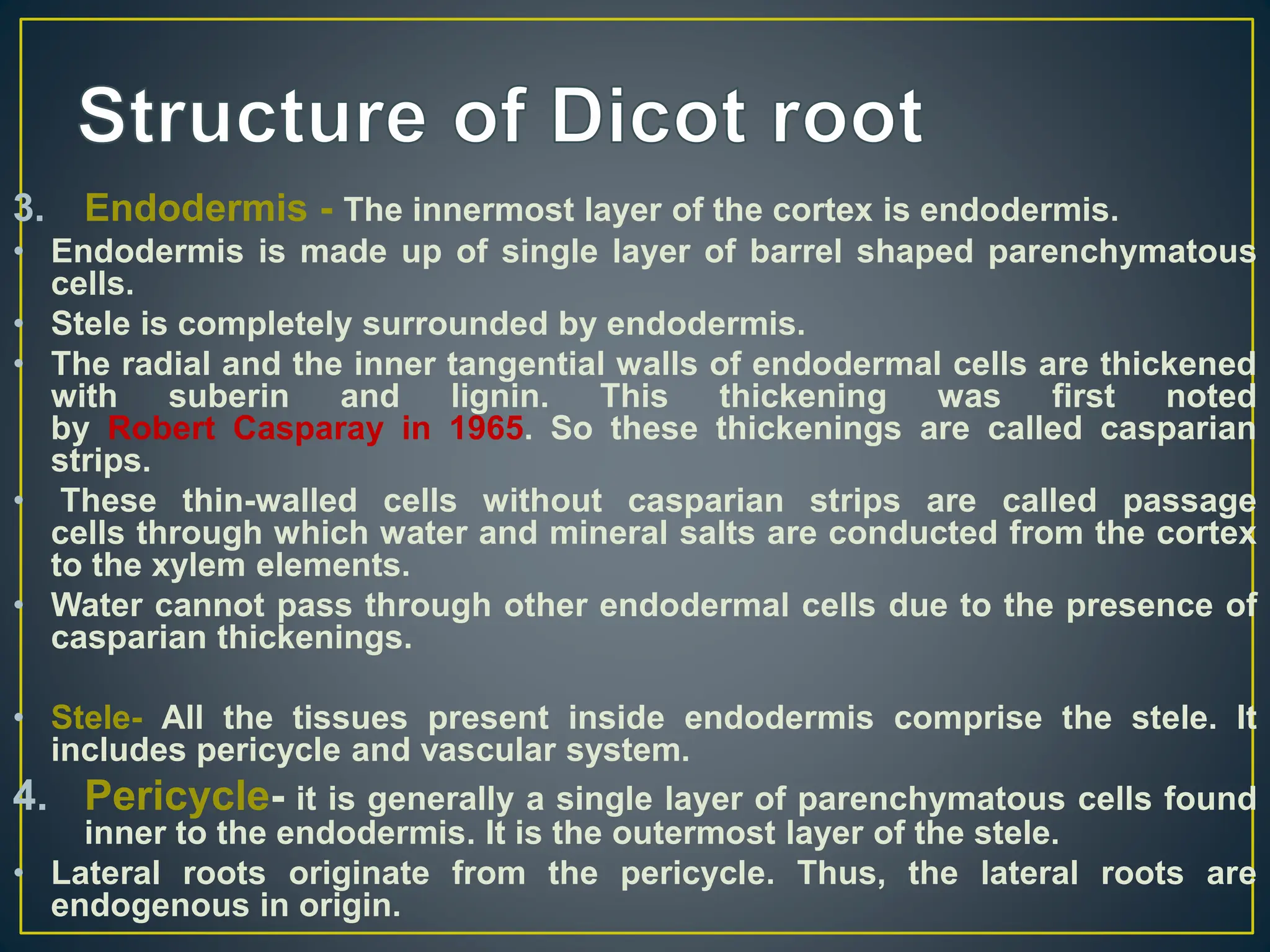 Unit1 part 1 (1).pptx dicot anatomy in which it will show the anatomical structures of stem or ...
