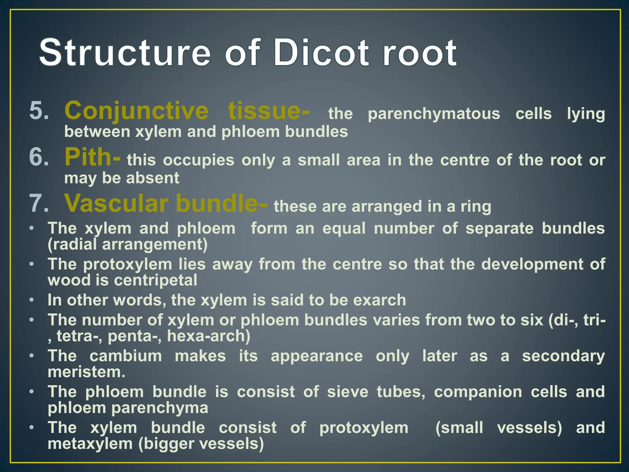 Unit1 part 1 (1).pptx dicot anatomy in which it will show the ...