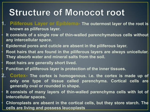 Unit1 part 1 (1).pptx dicot anatomy in which it will show the anatomical structures of stem or ...