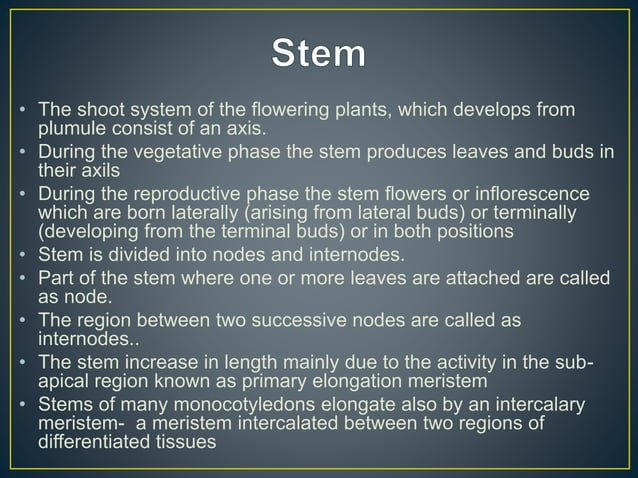 Unit1 part 1 (1).pptx dicot anatomy in which it will show the anatomical structures of stem or ...