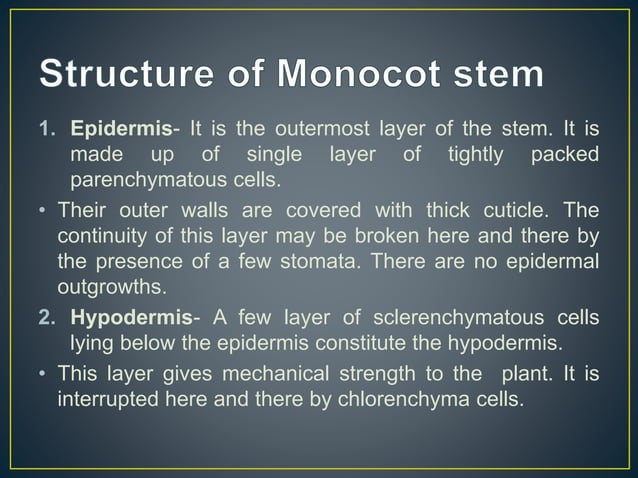 Unit1 part 1 (1).pptx dicot anatomy in which it will show the ...