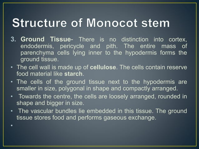 Unit1 part 1 (1).pptx dicot anatomy in which it will show the anatomical structures of stem or ...