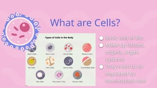 Unit 1 Part 1 Cell Basics Of The Psychology | PPTX