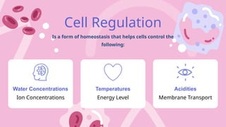 Unit 1 Part 1 Cell Basics Of The Psychology | PPTX