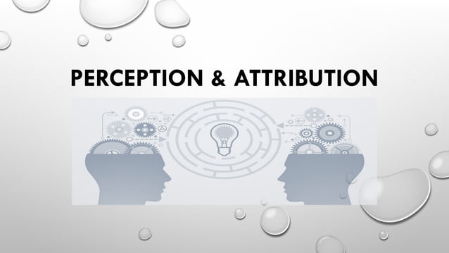 Unit 1 Organisational Behaviour Perception Attribution PPP.pptx