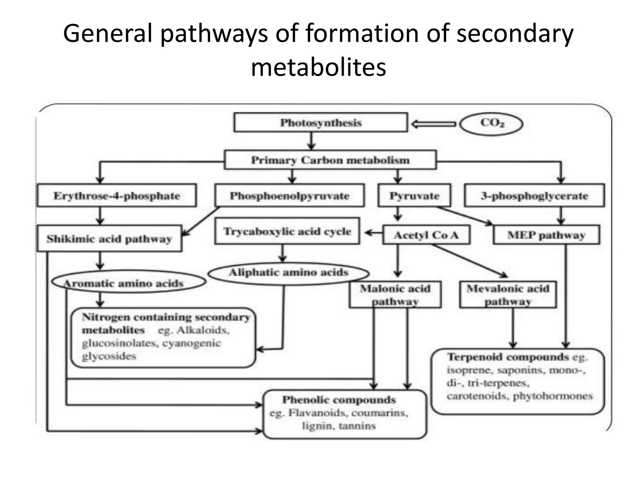 Biosynthetic pathways of secondary metabolites | PPTX