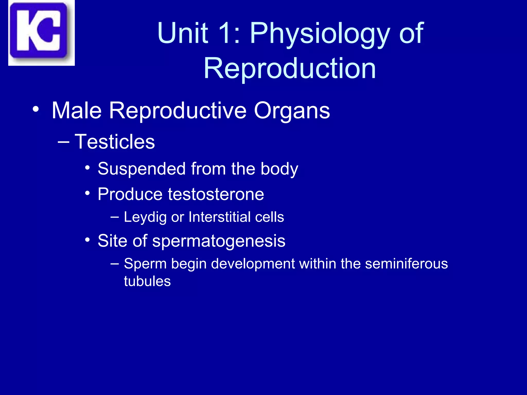 physiology of reproduction | PPT