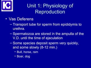 physiology of reproduction | PPT