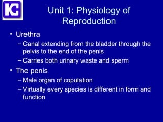 physiology of reproduction | PPT