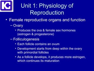 physiology of reproduction | PPT