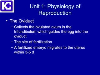 physiology of reproduction | PPT