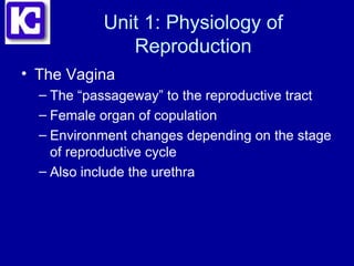 physiology of reproduction | PPT