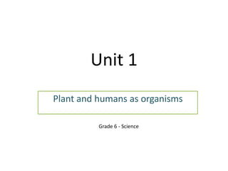 Unit 1 plant organs | PPT