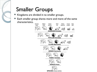 Unit1 ppt Classification of Organisms | PPT