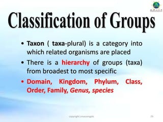 Introduction to Life | PPTX