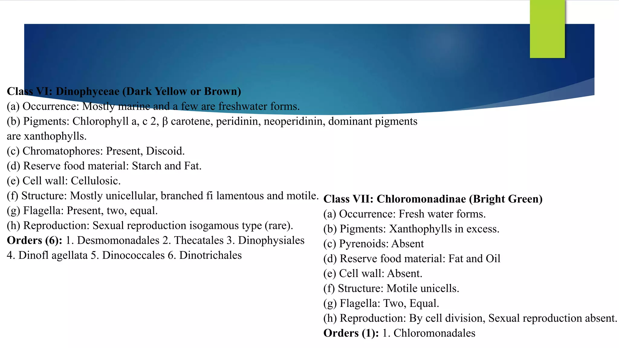 introduction to algae - ppt | PPTX