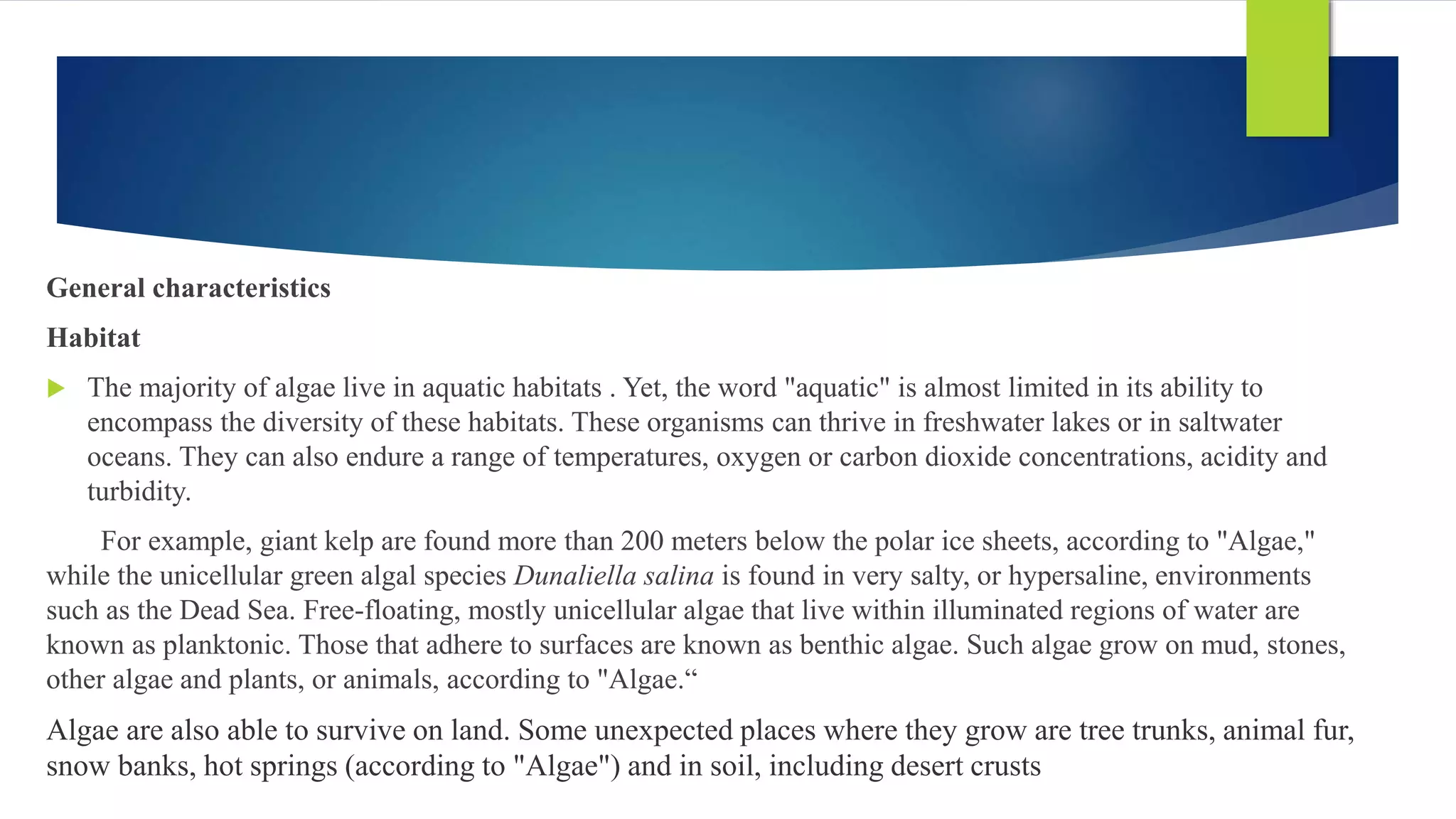 introduction to algae - ppt | PPTX