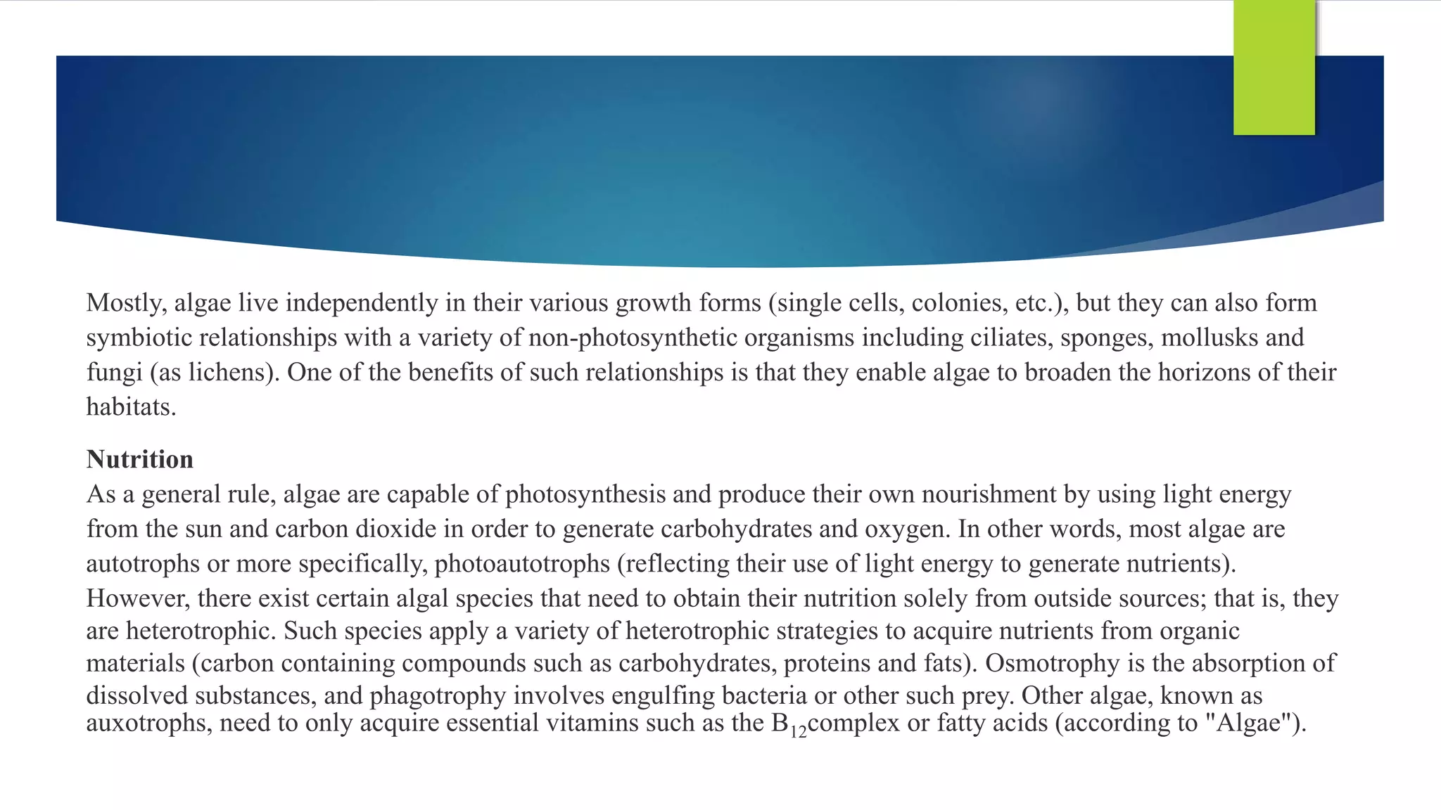 introduction to algae - ppt | PPTX