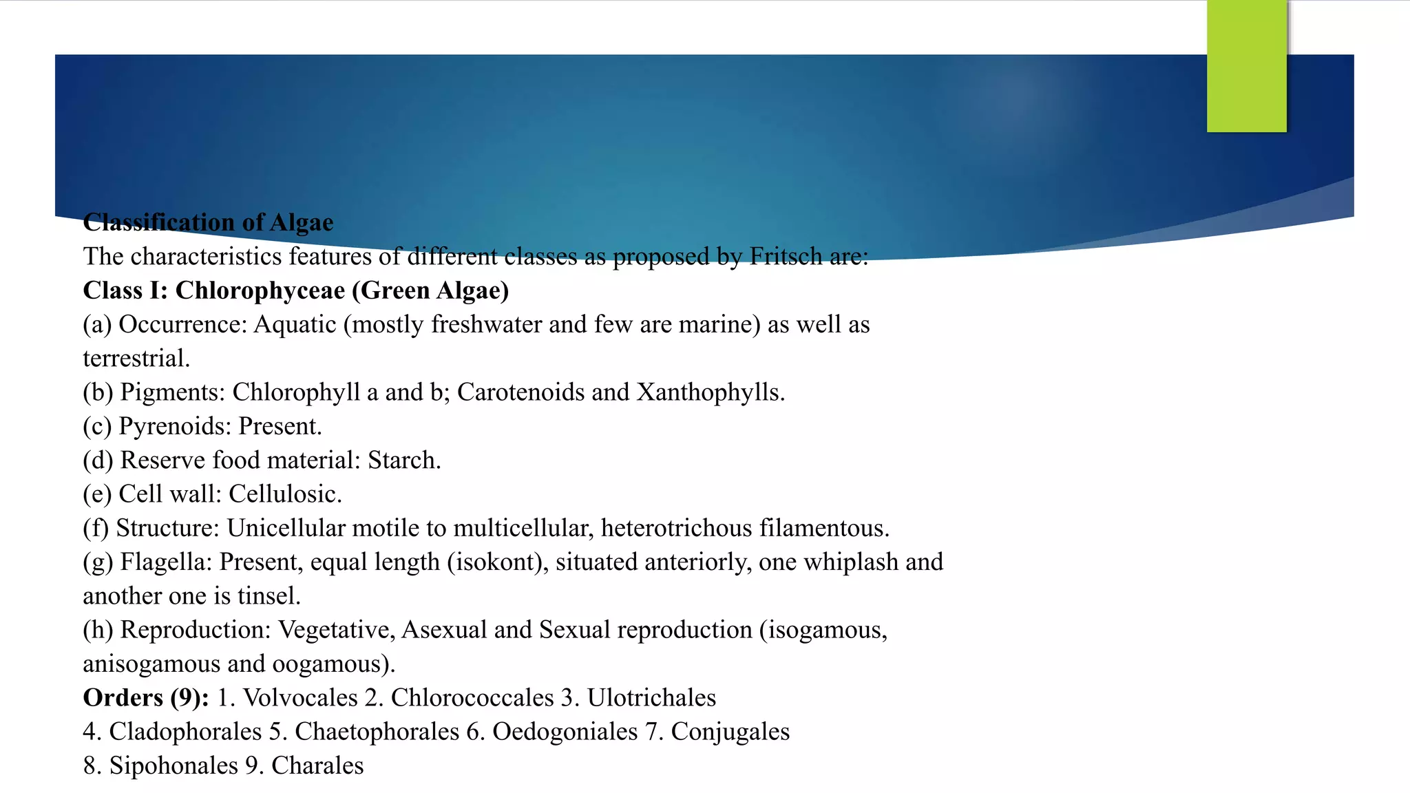 introduction to algae - ppt | PPTX