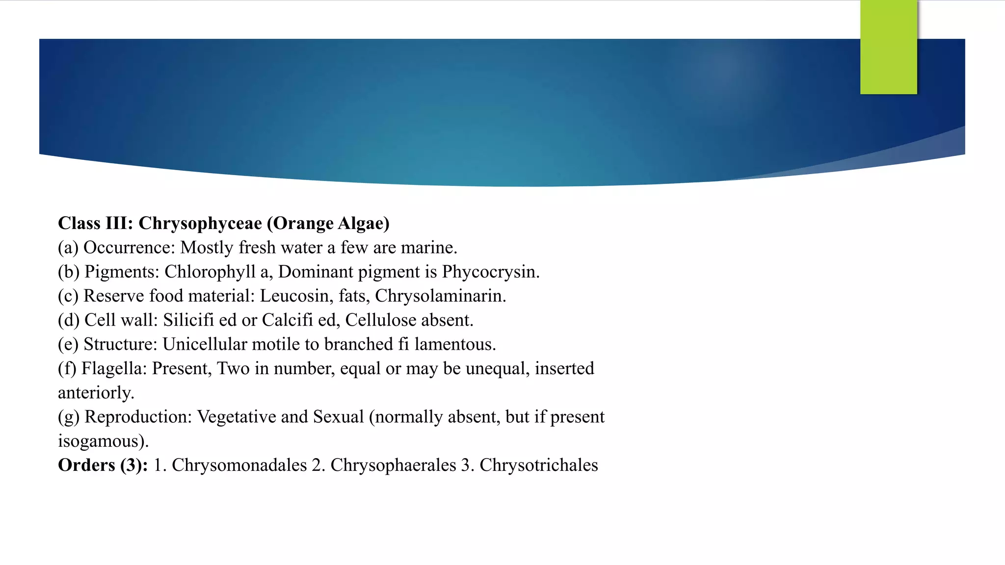 introduction to algae - ppt | PPTX