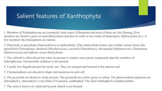 introduction to algae - ppt | PPTX