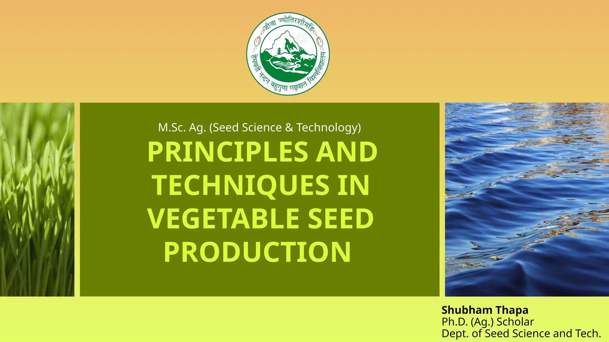 PRINCIPLES AND TECHNIQUES IN VEGETABLE SEED PRODUCTION (Unit 1).pptx