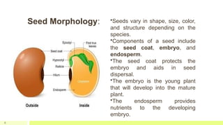 PRINCIPLES AND TECHNIQUES IN VEGETABLE SEED PRODUCTION (Unit 1).pptx