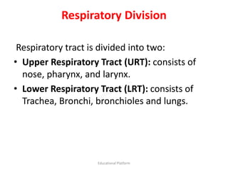 Unit 1; Respiratory System, Educational Platform.pptx