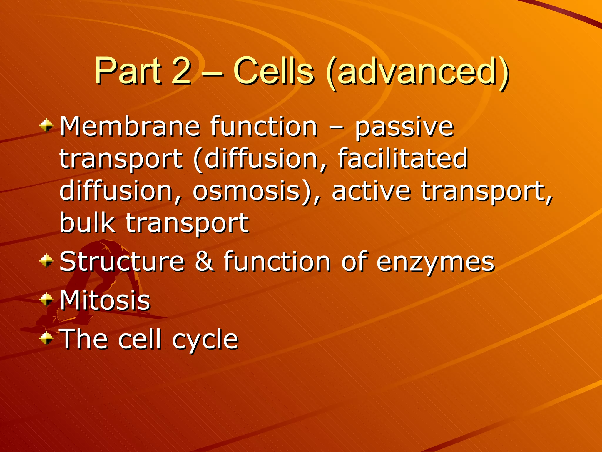 Unit 1 Revision | PPT