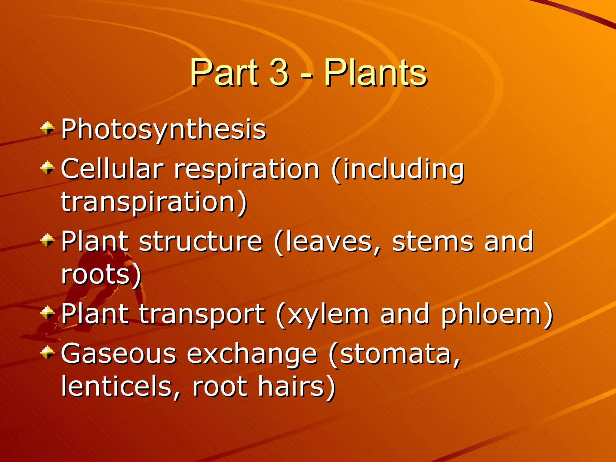 Unit 1 Revision | PPT