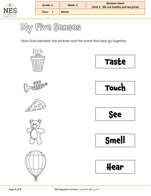 Unit 1 revision sheet grade 1 | PDF
