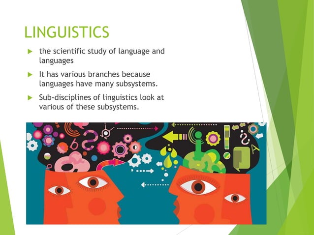 Unit 1 semantics | PPT | Science