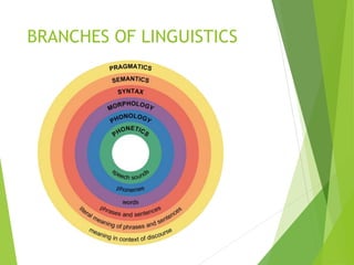 Unit 1 semantics | PPT | Science