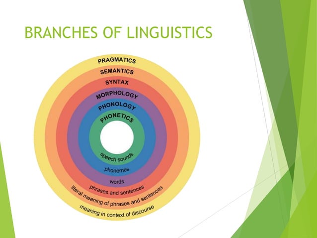 Unit 1 semantics | PPT